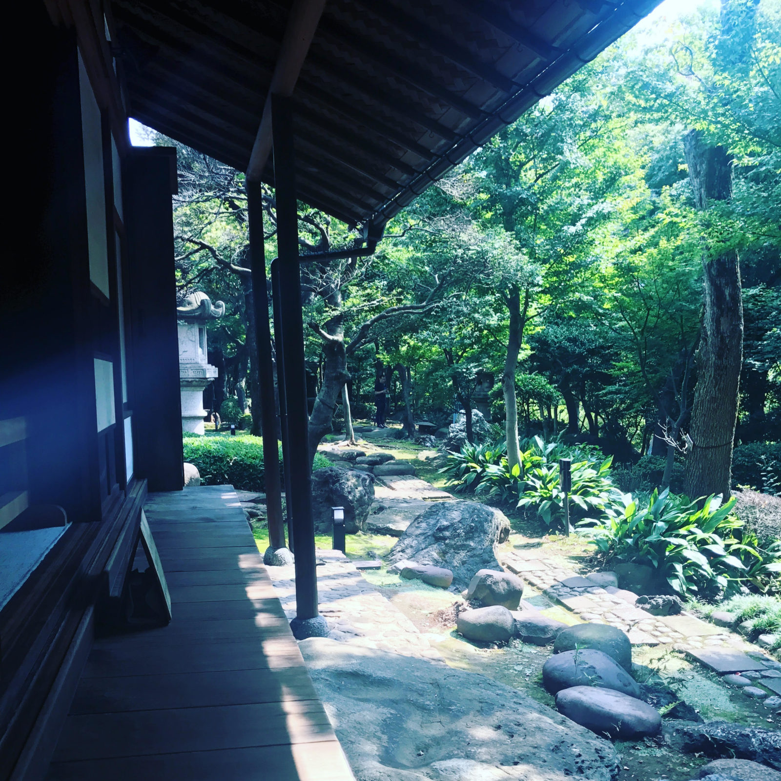DAIKANYAMA WITH KIDS – The Tokyo Chapter