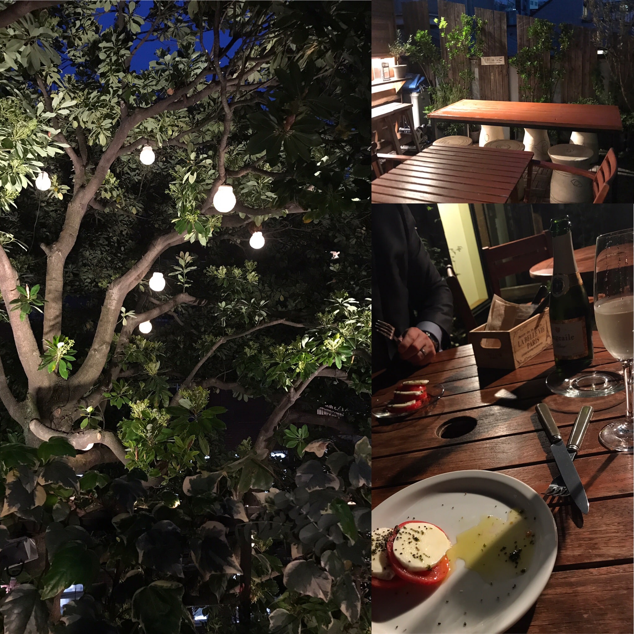 TOKYO FLOWER CAFES – The Tokyo Chapter
