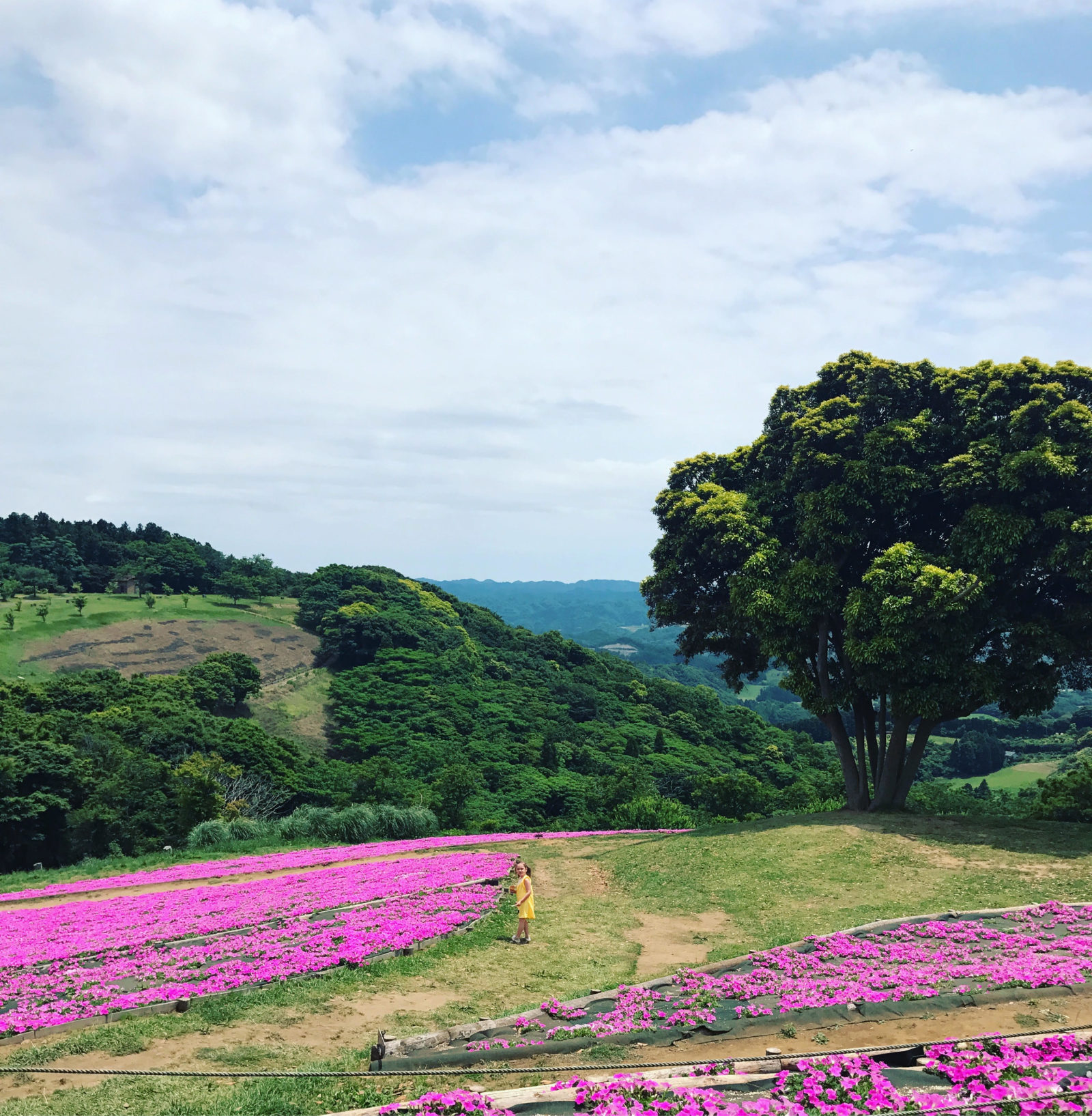 MOTHER FARM IN CHIBA – The Tokyo Chapter
