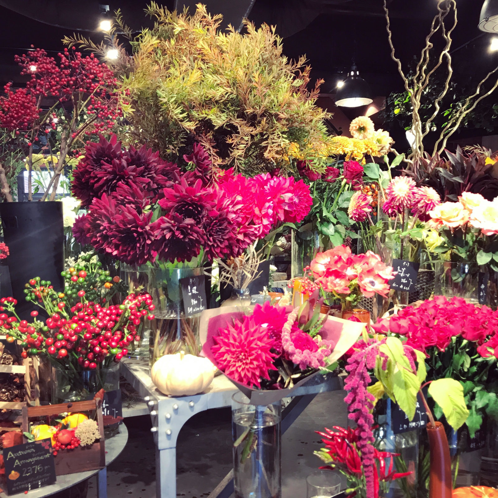 TOKYO FLOWER CAFES – The Tokyo Chapter