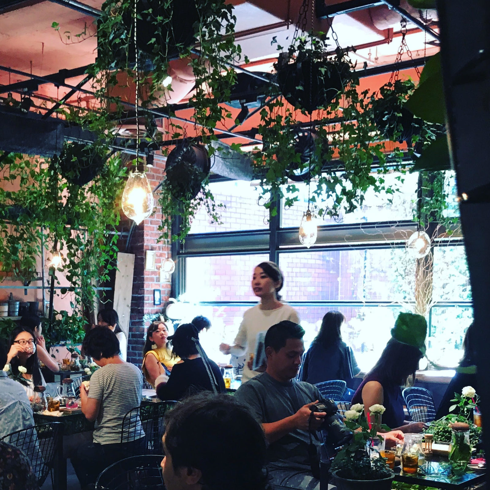 TOKYO FLOWER CAFES – The Tokyo Chapter