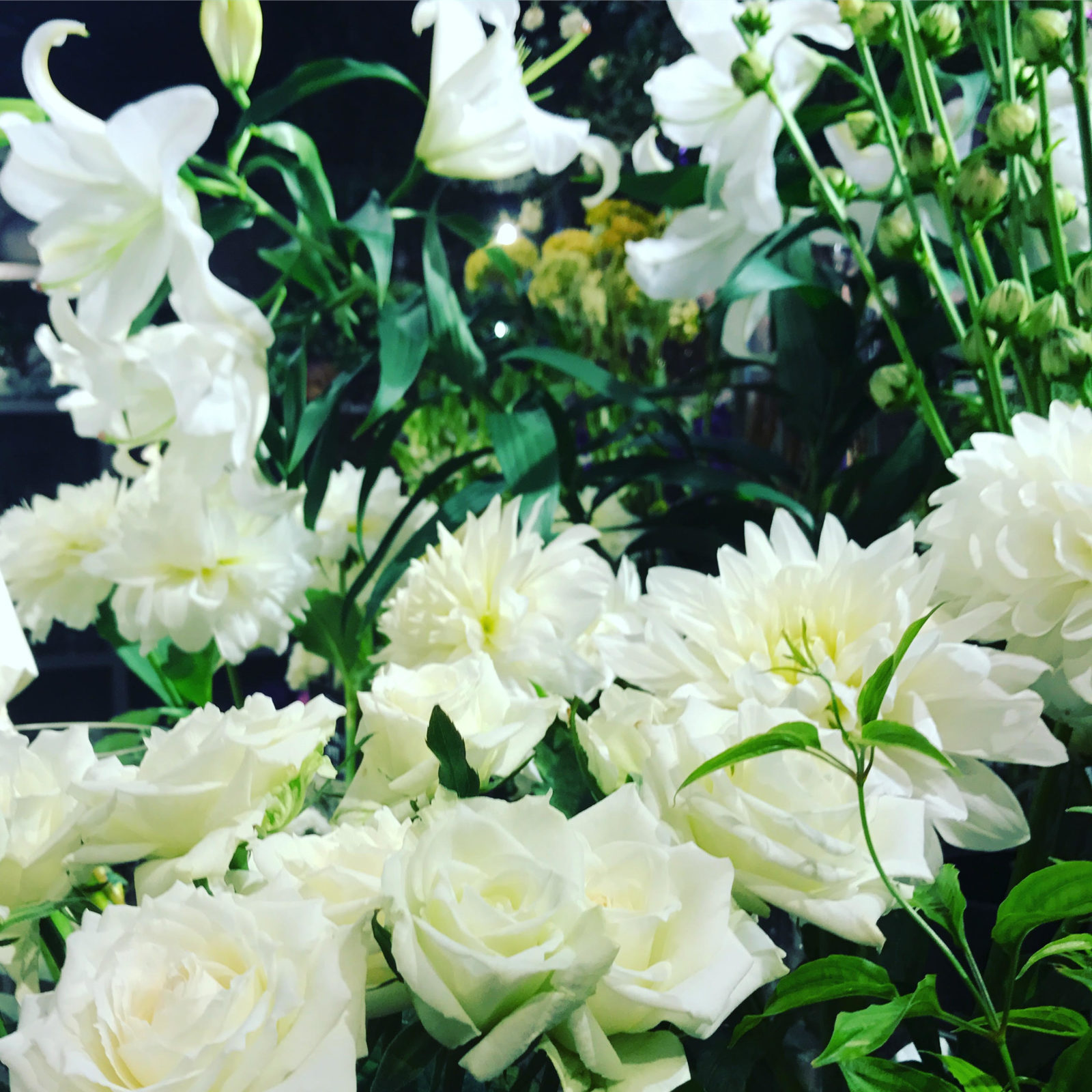 TOKYO FLOWER CAFES – The Tokyo Chapter