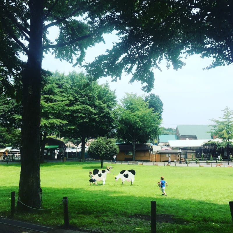 MAKAINO FARM: A DAY TRIP OR ONE NIGHT AWAY FROM TOKYO – The Tokyo Chapter