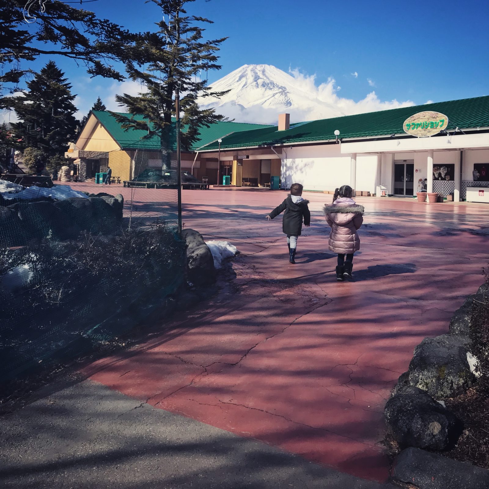 FUJI SAFARI PARK – The Tokyo Chapter