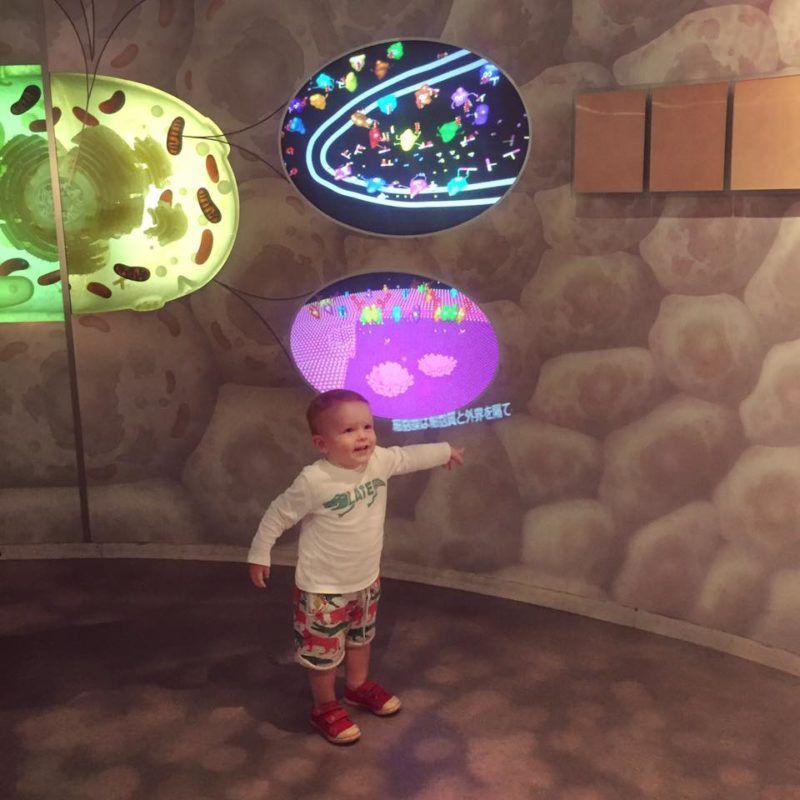 THE NATIONAL MUSEUM OF SCIENCE & NATURE, UENO – The Tokyo Chapter