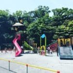 THE GODZILLA SLIDE PARK – The Tokyo Chapter