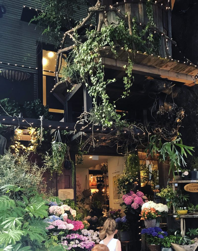 TOKYO FLOWER CAFES – The Tokyo Chapter