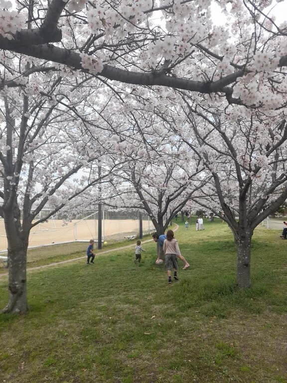 BEST PLAYGROUNDS IN THE KOBE AREA - DISCOVERED BY A KIWI FAMILY IN JAPAN