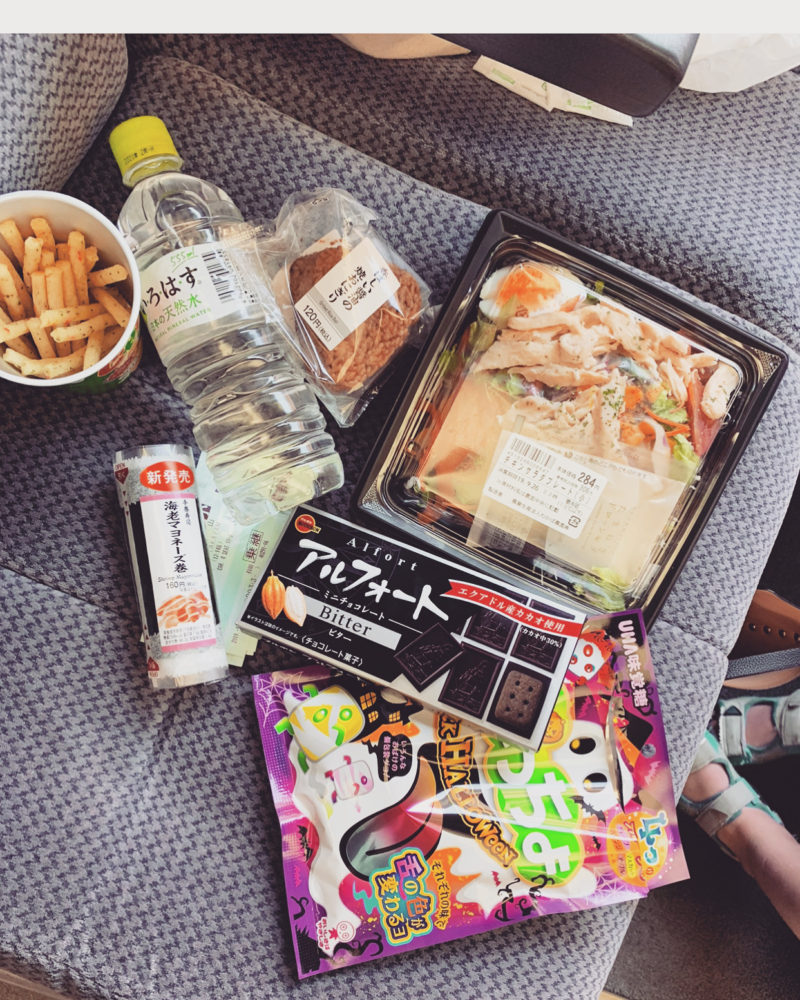 SHINKANSEN TRAVEL WITH KIDS