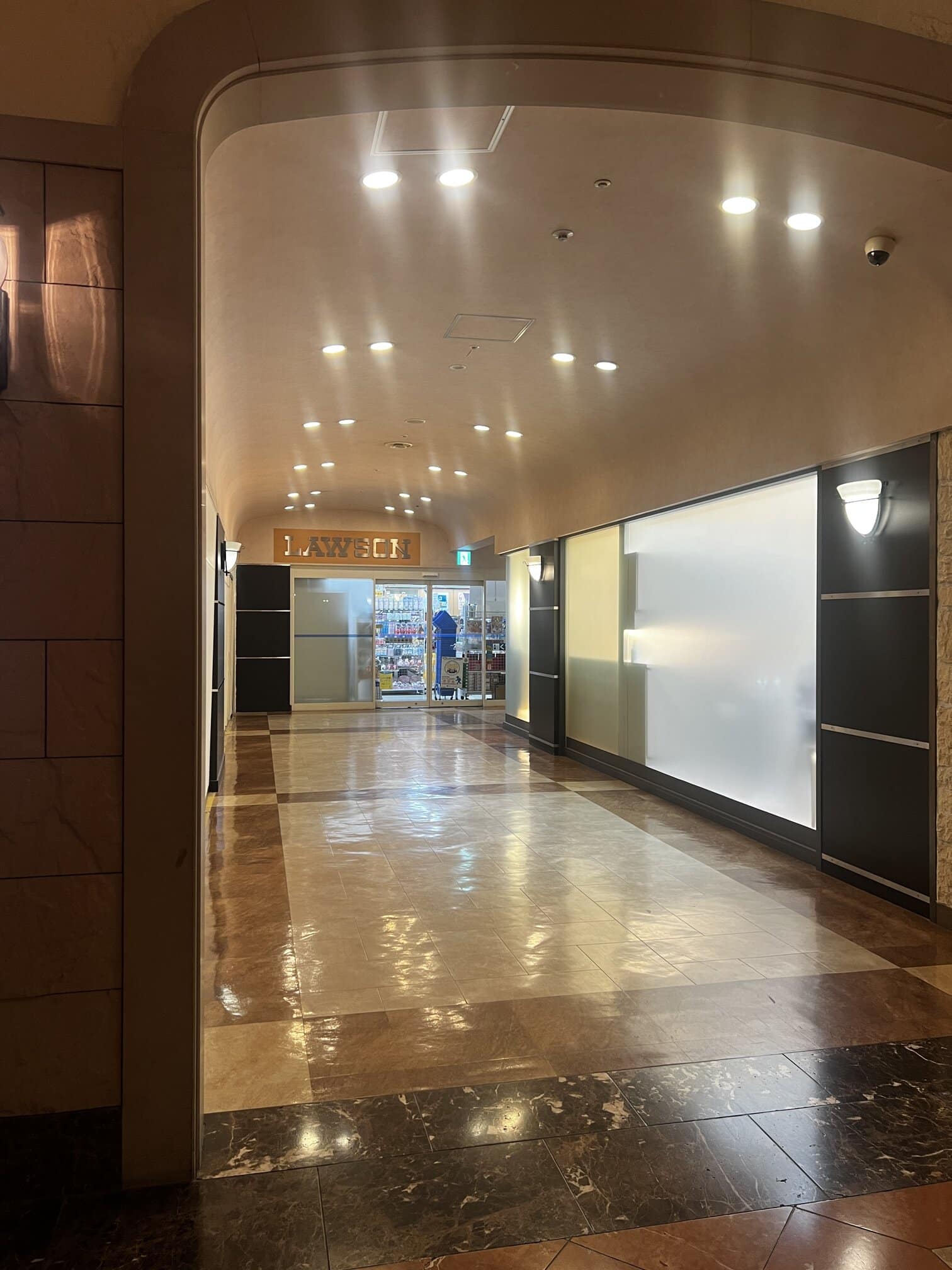 HOTELS NEAR TOKYO DISNEY – The Tokyo Chapter
